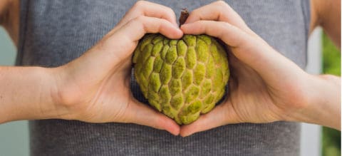 Cherimoya Benefits, Nutrition, Side Effects and How to Eat - Dr. Axe