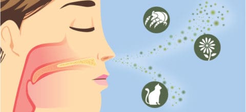 Fragrance Sensitivity: Allergy Symptoms, Triggers and Treatment - Dr. Axe