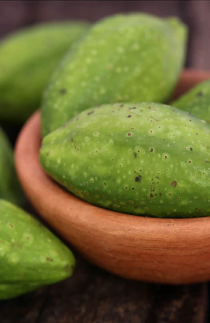 Haritaki Benefits, Uses, Nutrition, Supplements, Side Effects - Dr. Axe