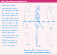 Body Composition: What It Means and What You Can Control - Dr. Axe