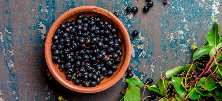 Maqui Berry Benefits, Uses, Recipes and Side Effects - Dr. Axe