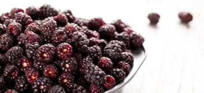What Is Boysenberry? Benefits, Nutrition, Recipes, How to Grow - Dr. Axe