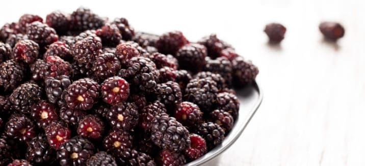 What Is Boysenberry? Benefits, Nutrition, Recipes, How to Grow - Dr. Axe