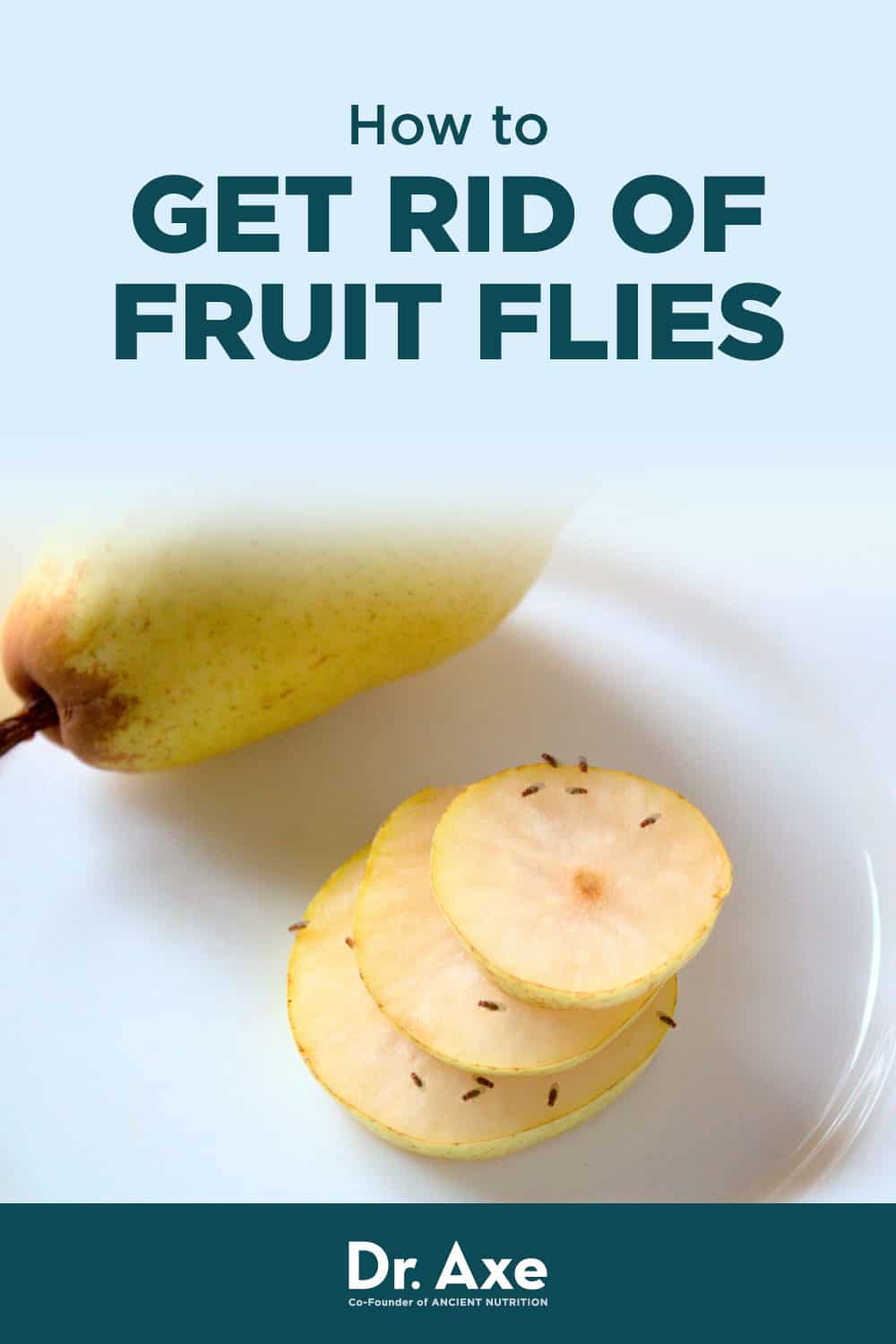 How to Get Rid of Fruit Flies in Your Home Naturally - Dr. Axe