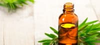 Tea Tree Oil Benefits, Uses and Potential Side Effects - Dr. Axe