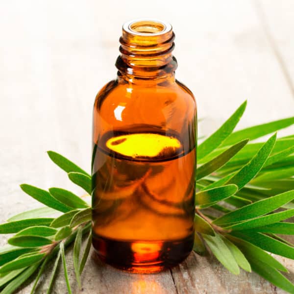Tea Tree Oil Benefits, Uses and Potential Side Effects - Dr. Axe