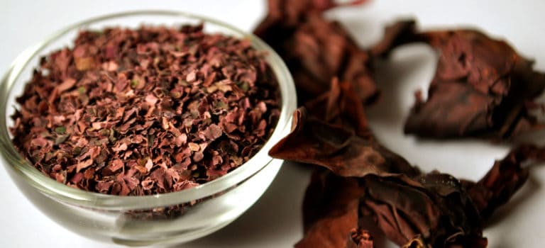 Dulse Seaweed Benefits, Nutrition, Uses and Side Effects - Dr. Axe