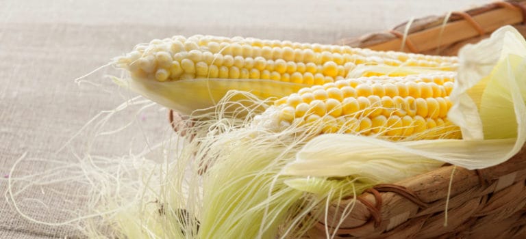Corn Silk Benefits, Uses, Dosage and Side Effects - Dr. Axe