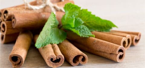 What Is Linalool? Benefits, Sources, Side Effects, How to Use It - Dr. Axe