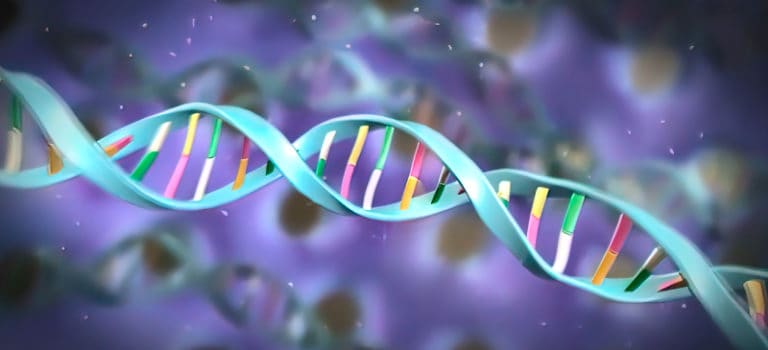 How to Support Methylation and Why It's Important for Health