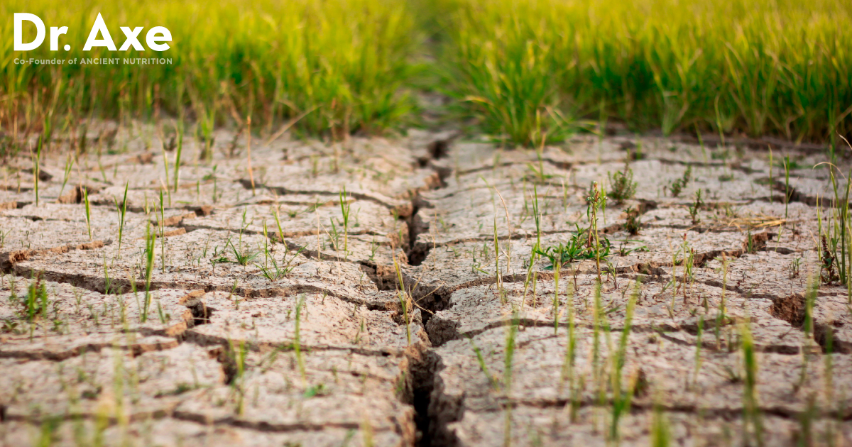 Can Global Land Degradation Be Reversed? - Dr. Axe