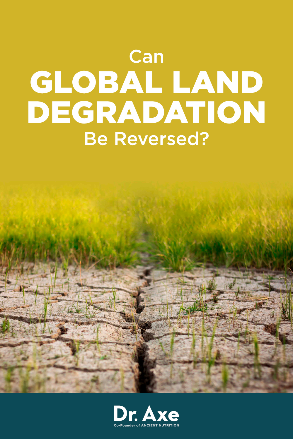 Can Global Land Degradation Be Reversed? - Dr. Axe