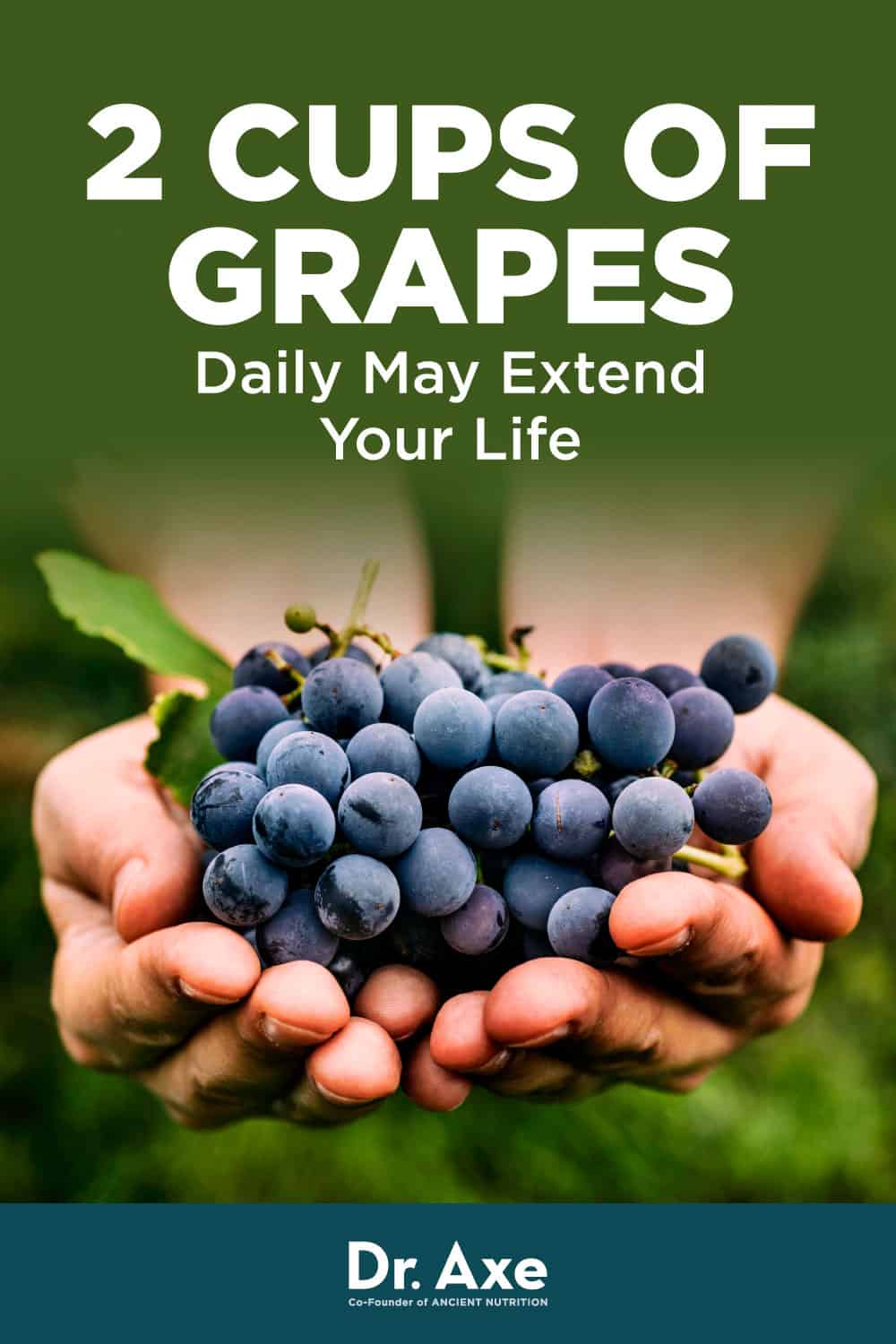 Study Findings Suggest Eating Grapes for Longevity - Dr. Axe
