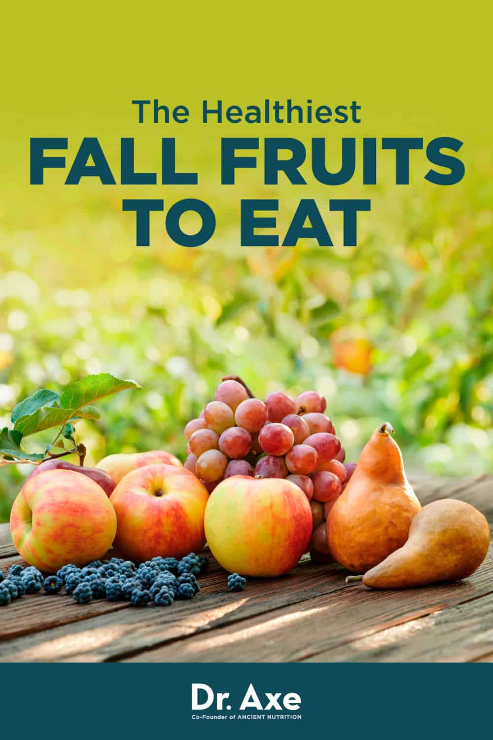 Top 25 Fall Fruits Plus Their Benefits and Recipes