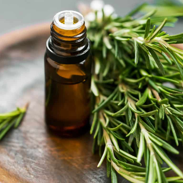 Rosemary Oil Benefits and Uses, Including for Hair Loss - Dr. Axe