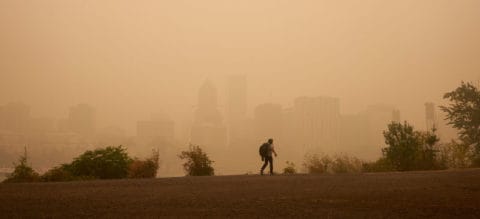 Allergy Season and Smoke-Filled Air Remedies - Dr. Axe