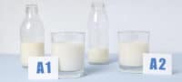 What Is A2 Milk? Benefits and How It Compares to Regular Milk - Dr. Axe