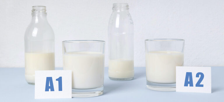 What Is A2 Milk? Benefits and How It Compares to Regular Milk - Dr. Axe
