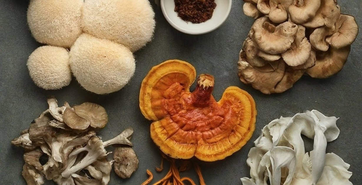 What Are Adaptogenic Mushrooms? Types, Benefits, Safety - Dr. Axe