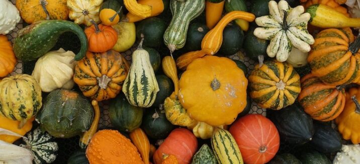 Winter Squash Varieties, Benefits, How to Use and More - Dr. Axe