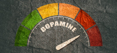 33 Dopamine Supplements to Improve Mood and Mental Health - Dr. Axe