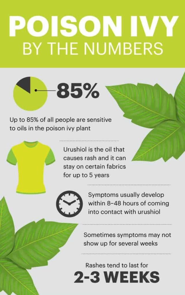 20 Potential Natural Remedies for Poison Ivy Rash - Dr. Axe