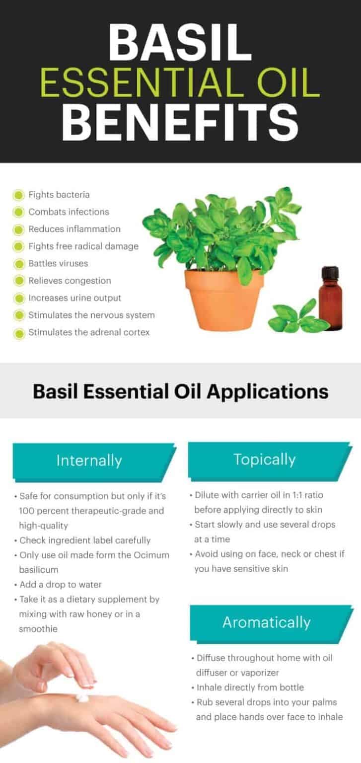 Basil Essential Oil Benefits, Uses, Recipes, Side Effects and More - Dr ...