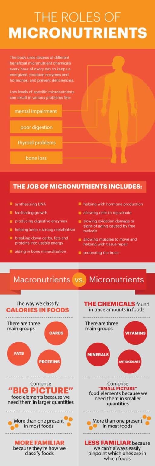 Micronutrients Types, Foods, Benefits, Functions and More