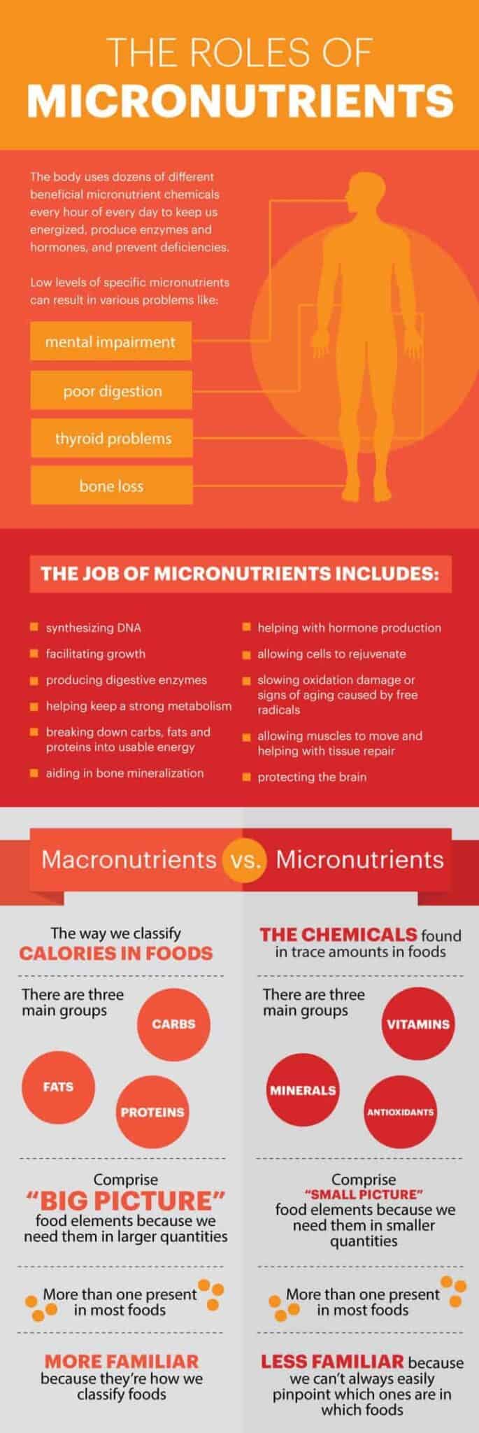 Micronutrients Types, Foods, Benefits, Functions and More