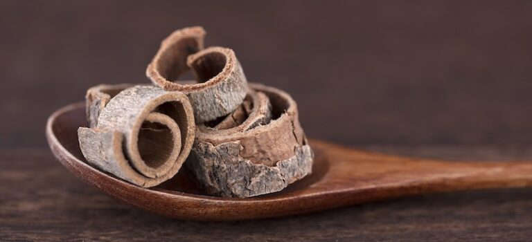 Magnolia Bark Benefits, Uses, Dosage, Side Effects and FAQs