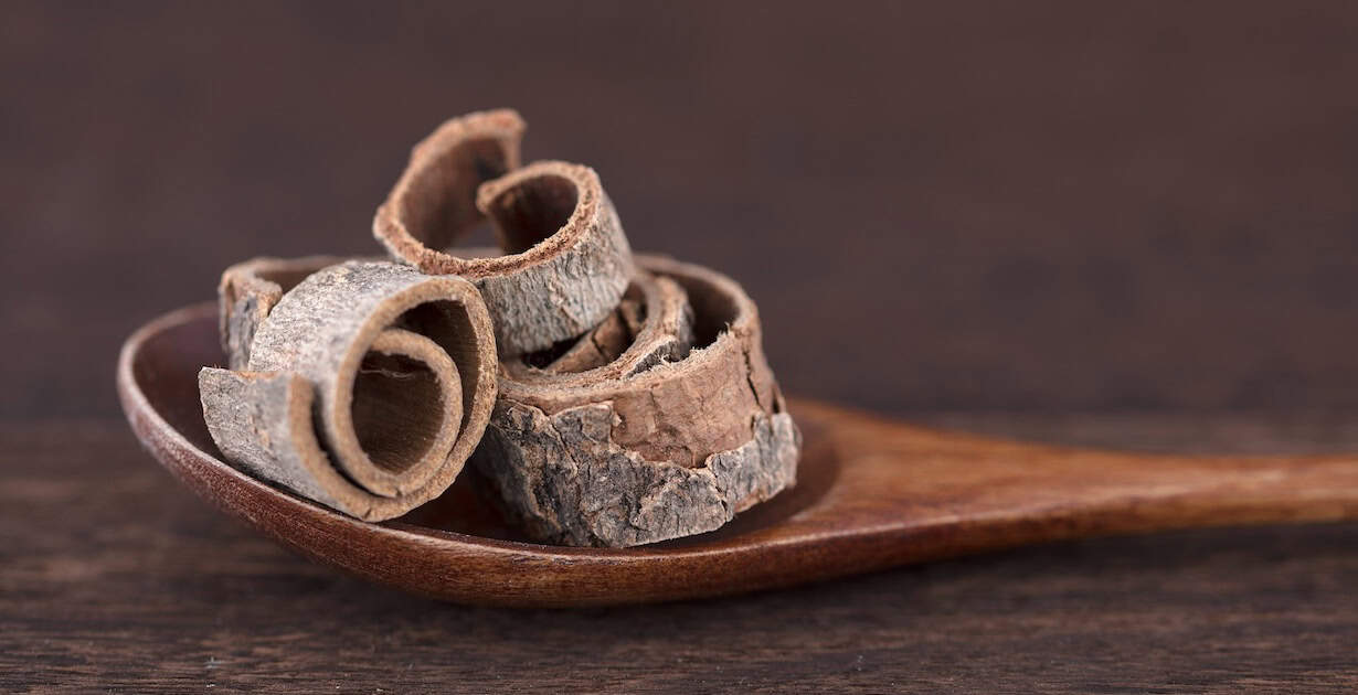 Magnolia Bark Benefits, Uses, Dosage, Side Effects and FAQs