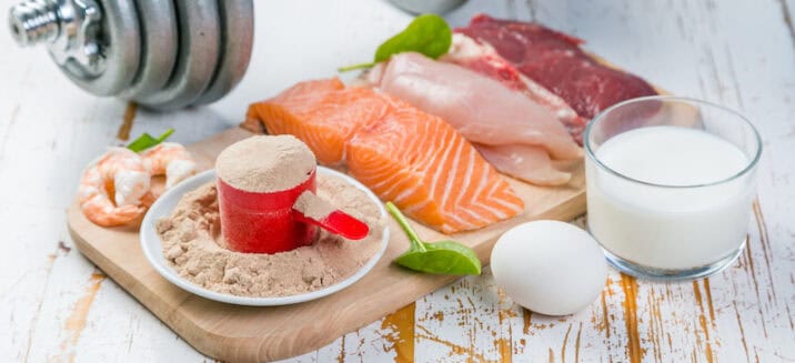 Animal Protein Benefits, Sources, Uses, Plant Protein Comparison