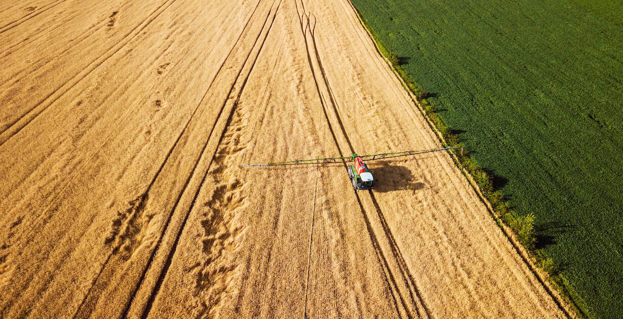 Why Is Glyphosate in Food? Health Risks and How to Avoid It