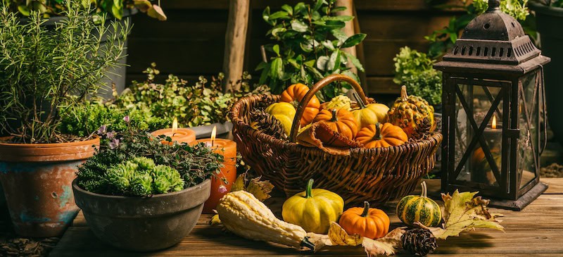 November Produce: What Fruits, Vegetables to Eat in November